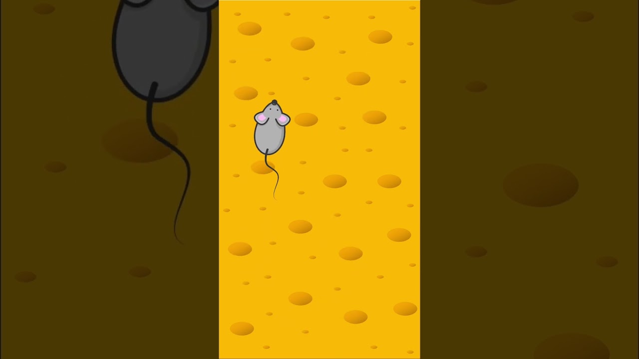 Game For Your Cat 😻