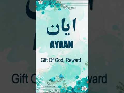 🌹Ayaan🌹 | Name Meaning Status || Urdu e Hind Official |