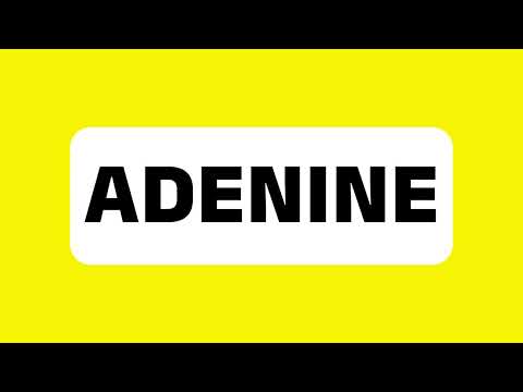 How to Pronounce Adenine (A nucleobase in DNA and RNA) Correctly