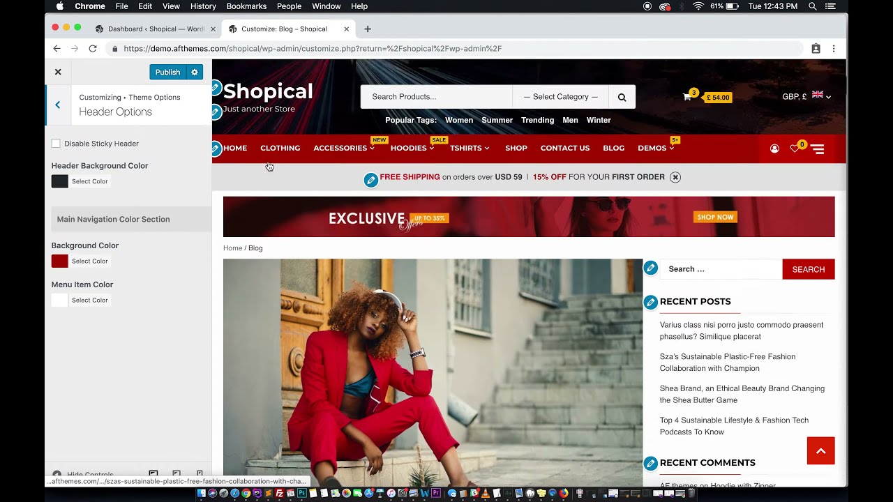 Shopical: Theme Options Overview