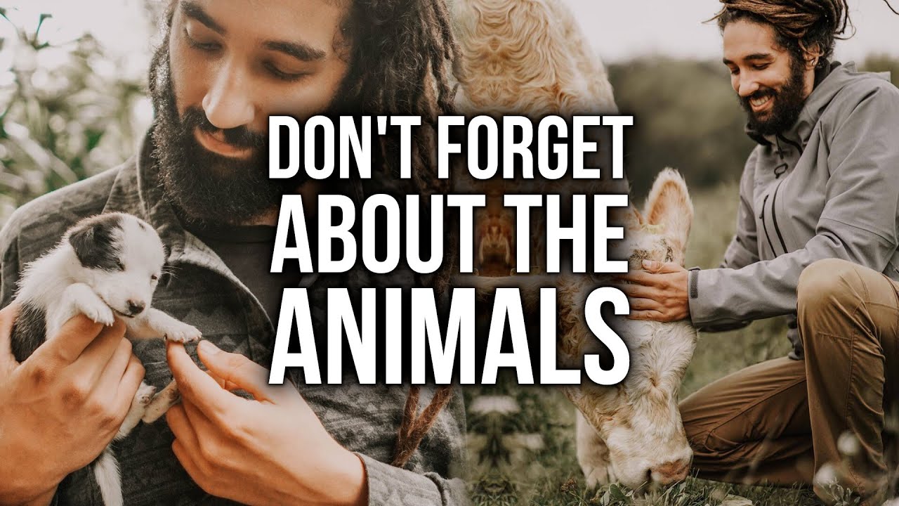 Should Everyone Stop Using the Word Vegan? (highlight)