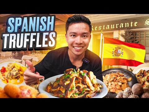 WILD Foraged Spanish Mushroom Restaurant In Leon 🇪🇸 Spain