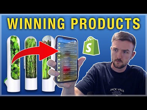 Find Shopify Winning Products - Dropshipping Product Research For Google Ads 2023