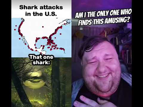That One Shark Bro #meme #funny #meme #funnymemes #duet #fypviralシ ...
