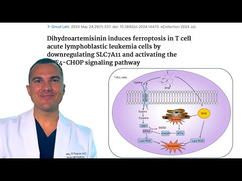 Artemisinin TRIGGERS Ferroptosis in Cancer