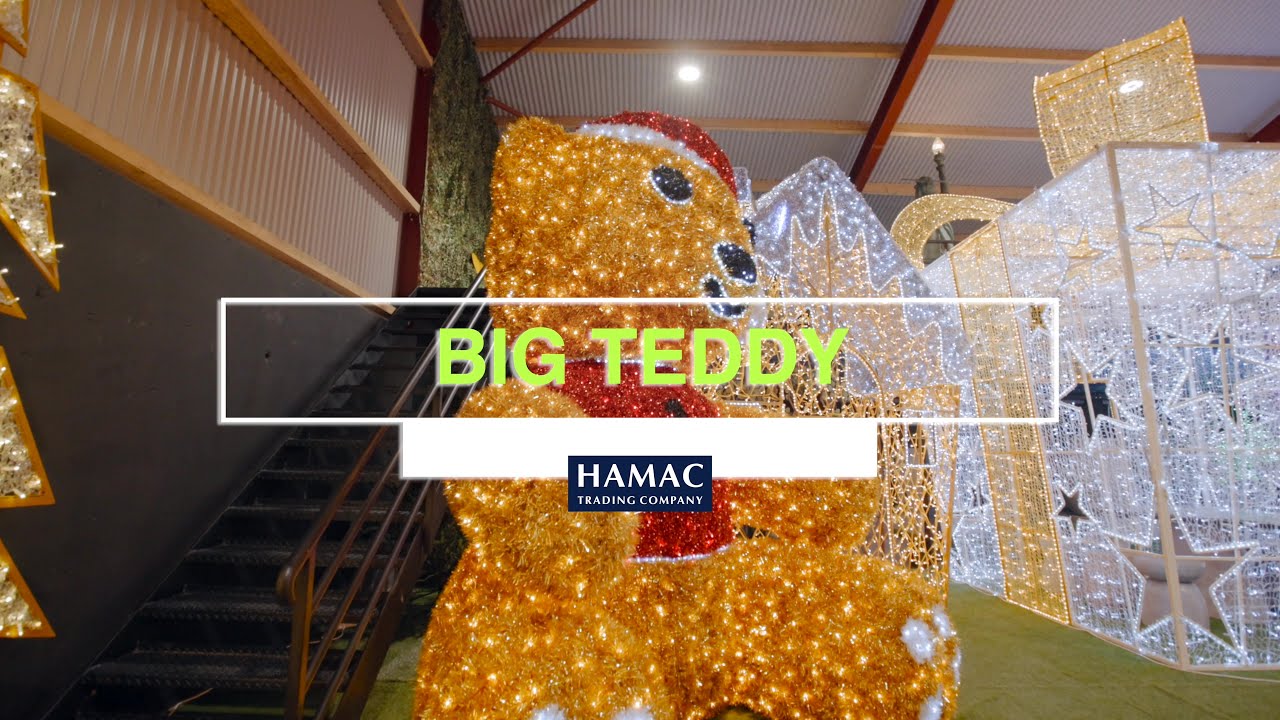 Hamac Displays Big Teddy