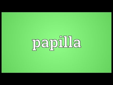 Papilla Meaning