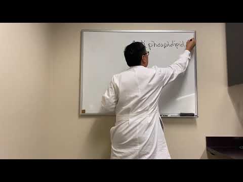 Anti phospholipid antibody syndrome