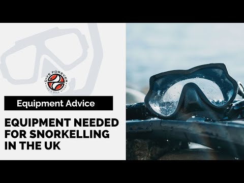 Equipment Needed For Snorkelling in The UK