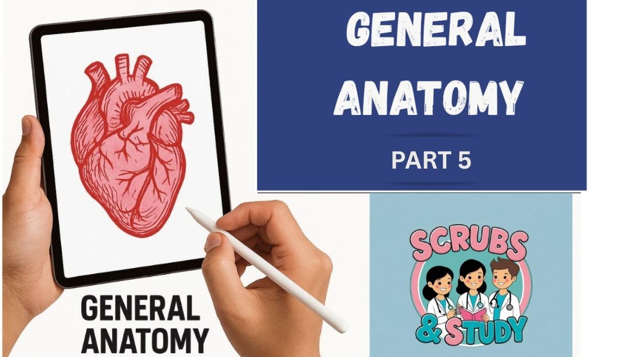 🦴 206 Bones of the Human Body  📚 Axial & Appendicular Skeleton Explained!  #5 General Anatomy Class