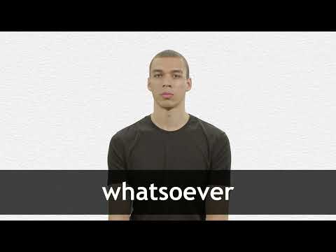 WHATSOEVER 释义 | 柯林斯英语词典