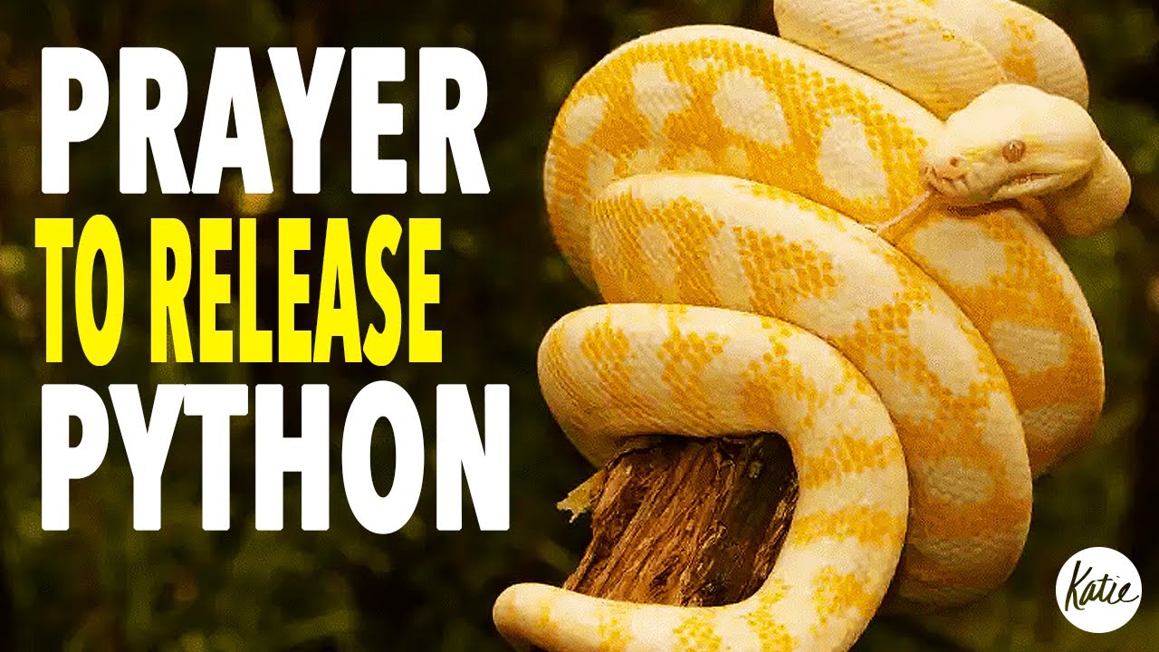 Prayer To Release Python