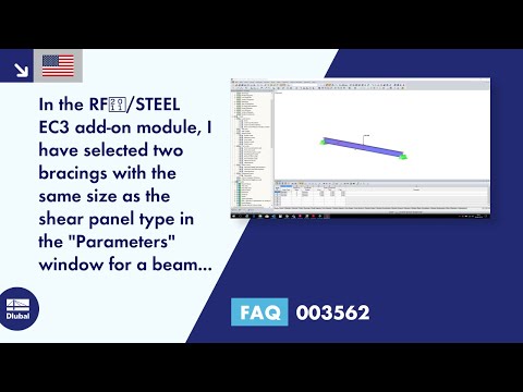 FAQ 003562 | In the RF-/STEEL EC3 add-on module, I have selected two bracings with the same ...