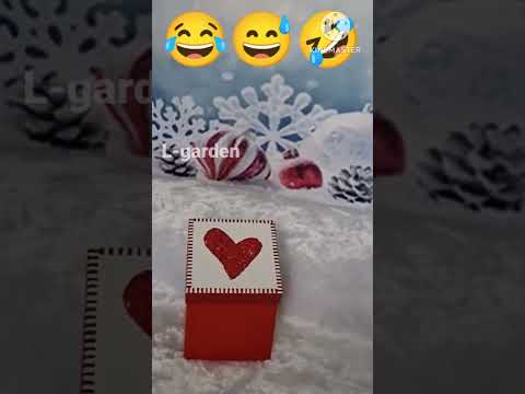 The Cat Gave A Big Gift π #shorts#youtubeshorts