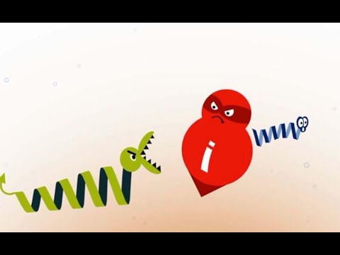 How to stop unwanted protease activity