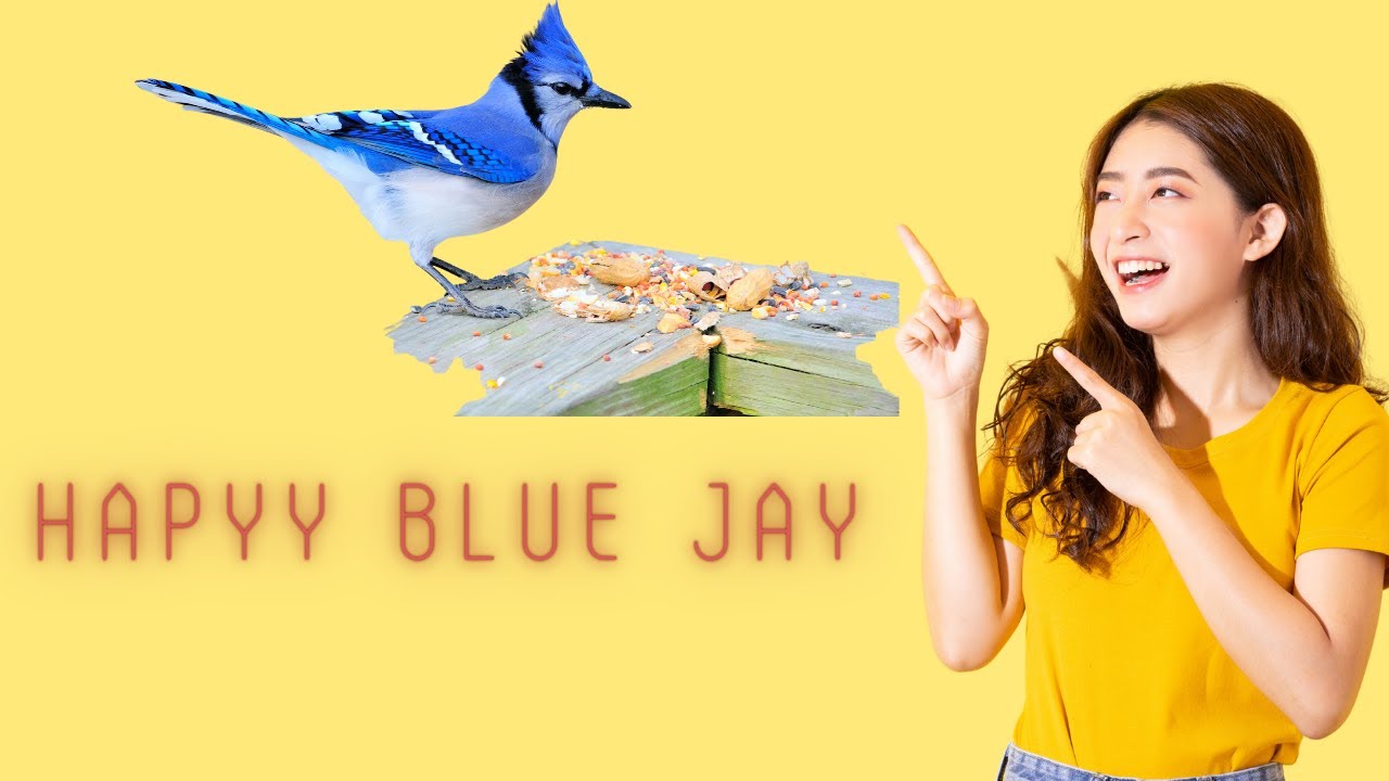 The Curious Blue Jay: A Story of Adventure and Wisdom