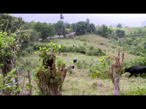 Dominican Republic Projects