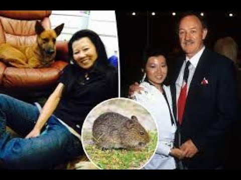 Betsy Arakawa’s cause of death linked to rodents, but what is hantavirus pulmonary syndrome?