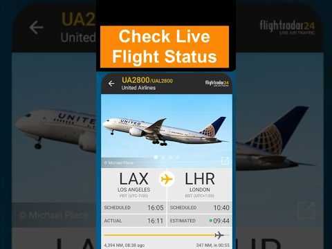 How to Check Live Flight Status in Real Time | Track Flights Instantly