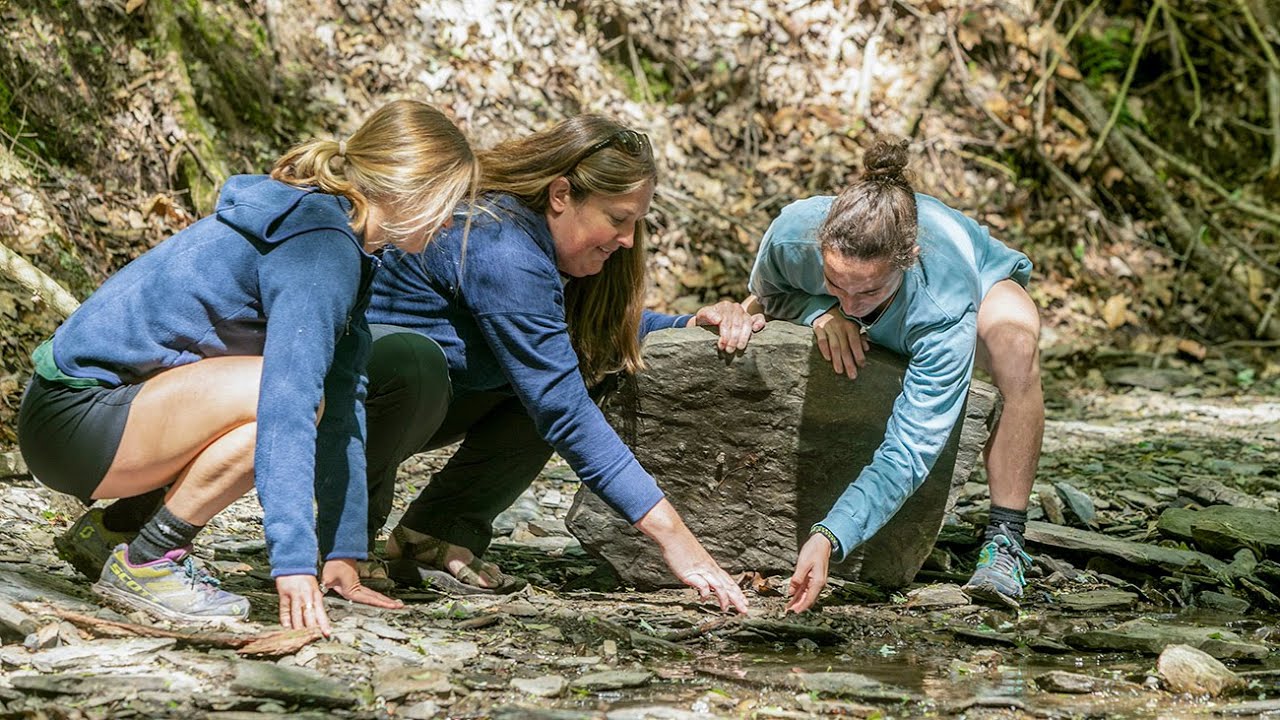 HWS - Searching for Salamanders