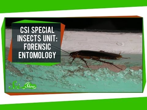 Sci Show - CSI Special Insects Unit: Forensic Entomology | Vídeo ...