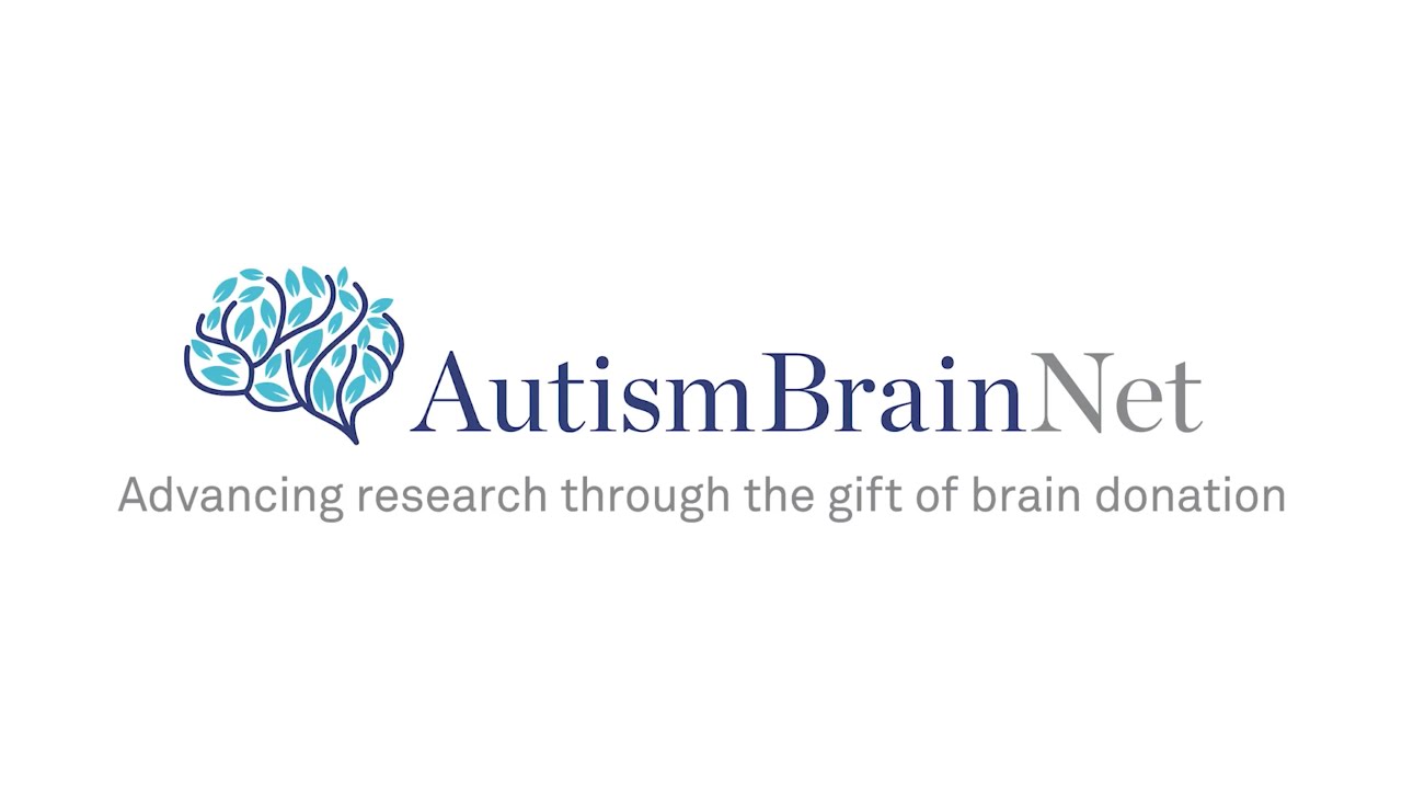 Autism BrainNet: An Overview