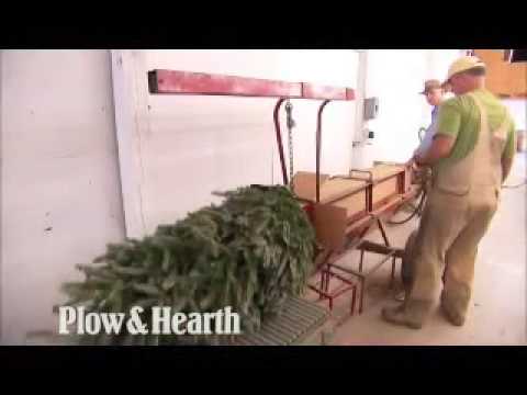 Fresh Christmas Trees- SKU 87860- Plow & Hearth
