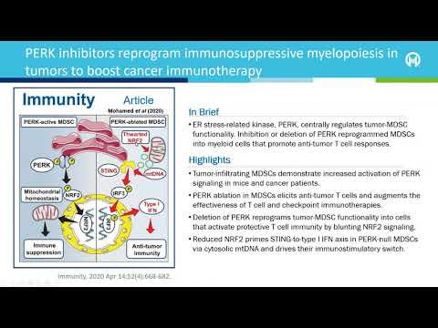 Paulo Rodriguez - 20MA005-Enhancing Immunotherapy Using ER Stress Pathway Inhibitors