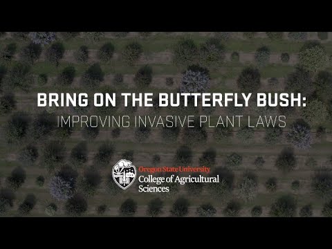Bring on the Butterfly Bush: Improving Invasive Plant Laws