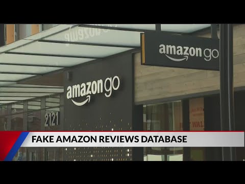 Looking at the Amazon fake review database