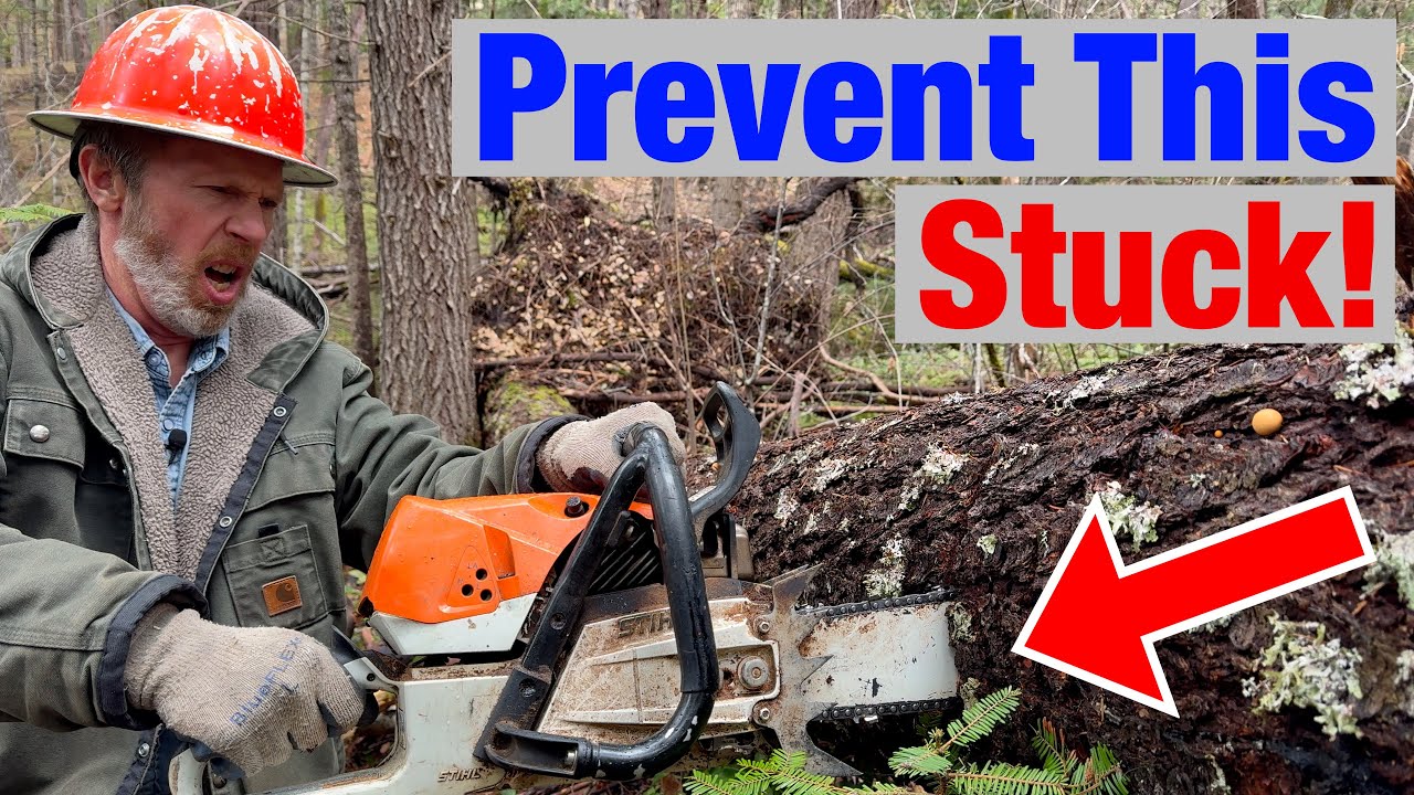 Avoid Getting Your Chainsaw Stuck With This Simple Hack