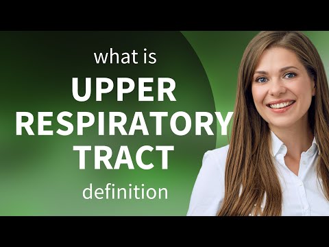 Upper respiratory tract • what is UPPER RESPIRATORY TRACT definition