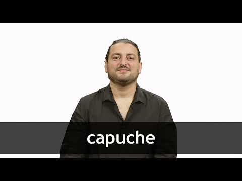 English Translation of “CAPUCHE” | Collins French-English Dictionary
