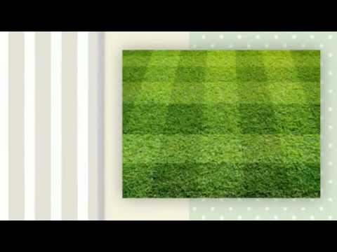Miramar Landscaping Lawn Service (954) 628-6209 Affordable Landscaping Miramar