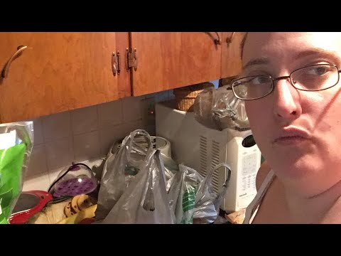 Aldis, Walmart, And Dollar Tree Grocery Haul