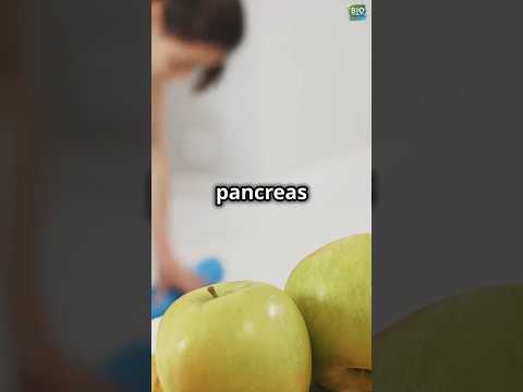 Pancreas – The Master Regulator of Digestion & Blood Sugar