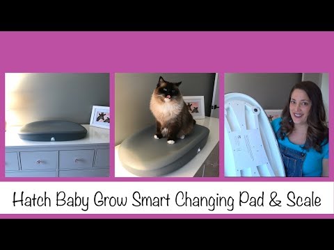 Hatch Baby Grow Smart Changing Pad & Scale | First Impressions | Cat Review