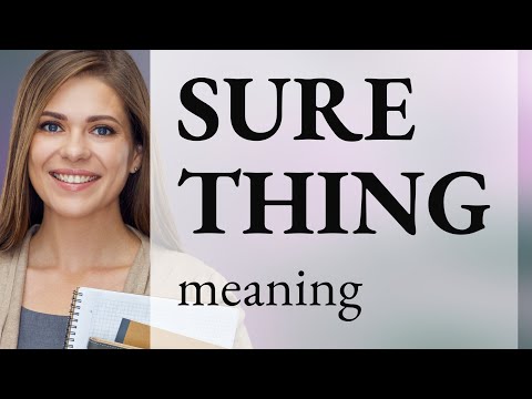 Sure thing • definition of SURE THING
