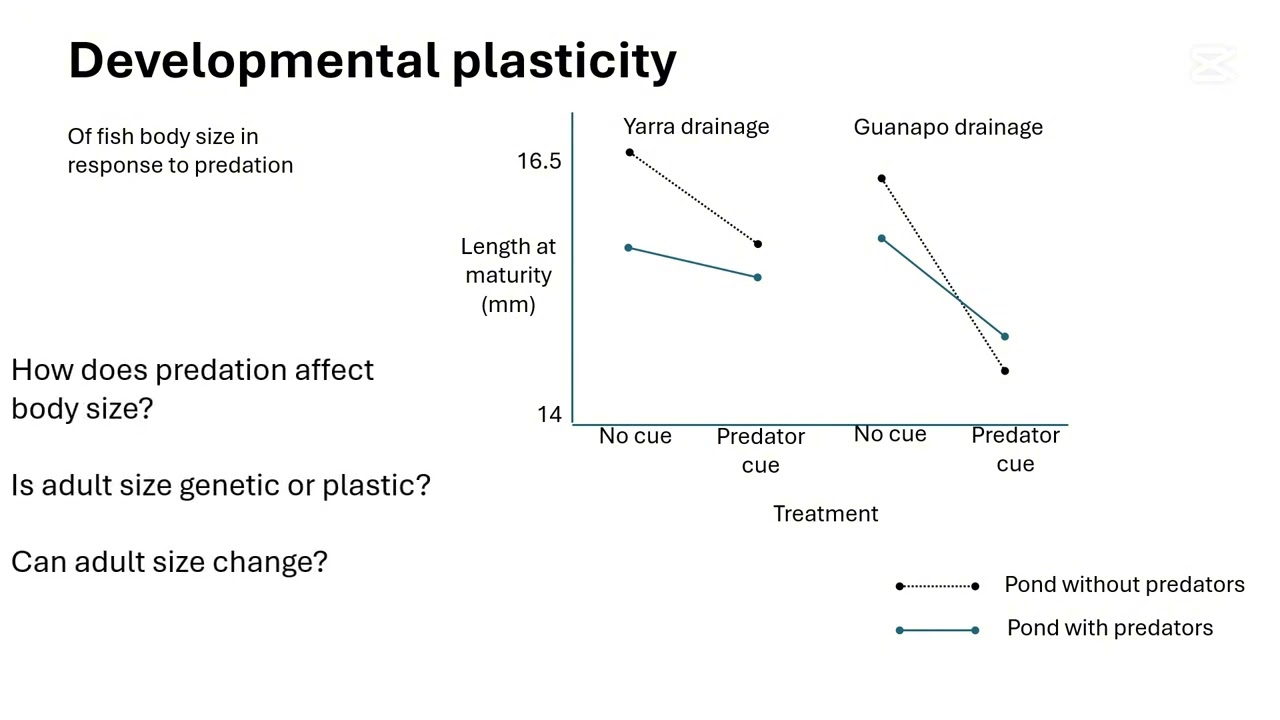 Developmental plasticity