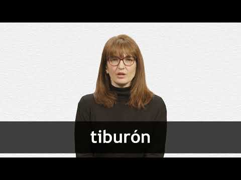 English Translation of “TIBURÓN” | Collins Spanish-English Dictionary