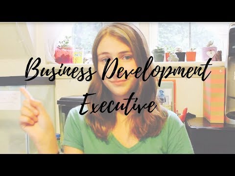 Business Development Executive Resume by Fi9jobs.com