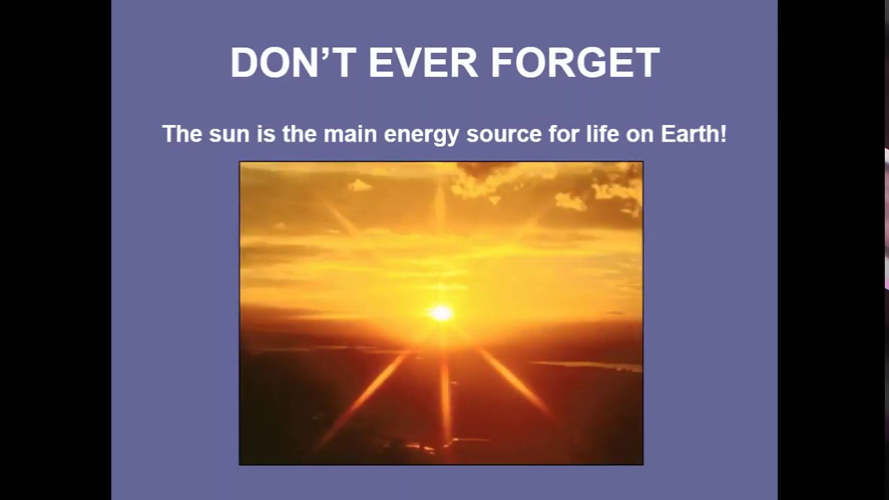 PPT Energy Flow Producers & Consumers in Ecology