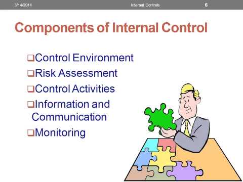 Components of Internal Control