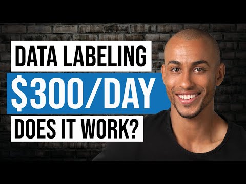 How To Make Money With Data Labeling For Beginners (Step By Step Tutorial)