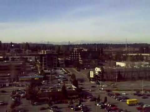 Bellevue overview
