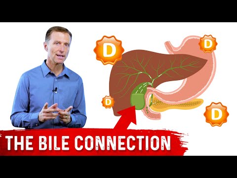 Vitamin D, Bile, and Your Gallbladder