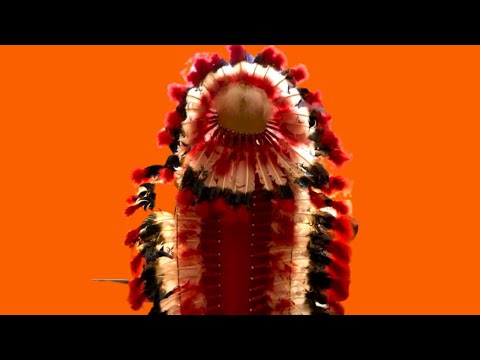 THE MOST Controversial NCAA College Mascot In History, #ncaa #collegefootball #collegebasketball