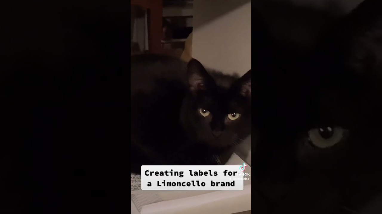 Creating labels for a limoncello brand