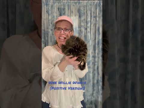 17 Wee Willie Winkie Positive Nursery Rhyme with Miss Lori and Lenny the Porcupine