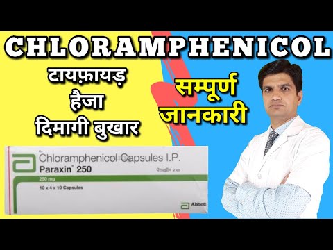 Chloramphenicol Capsule - Paraxin Capsule Latest Price, Manufacturers ...